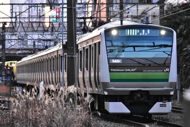 鎌倉車両センター本所 E233系 H020編成 の写真 |鉄道写真投稿サイトTrain-Directory