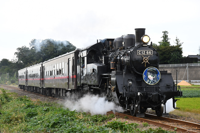 C12形 C12-66 の写真 |鉄道写真投稿サイトTrain-Directory