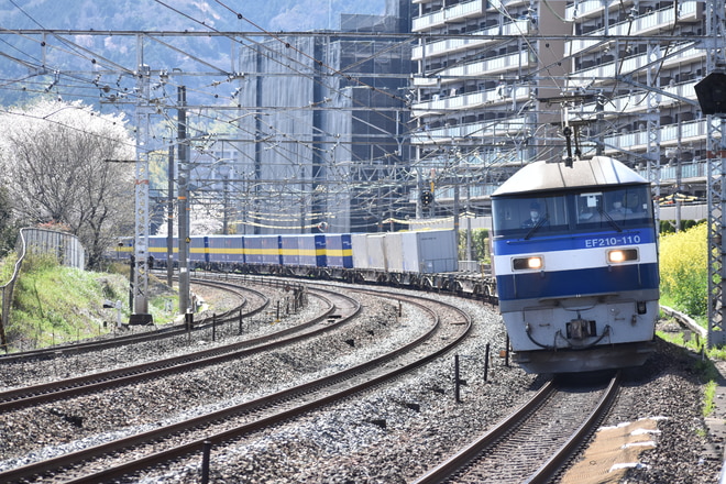 新鶴見機関区 EF210 110 の写真 |鉄道写真投稿サイトTrain-Directory