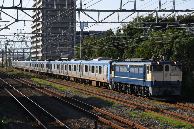 EF65形 EF65-2096 の写真 |鉄道写真投稿サイトTrain-Directory
