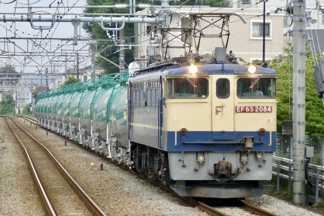 新鶴見機関区 EF65 2084 の写真 |鉄道写真投稿サイトTrain-Directory