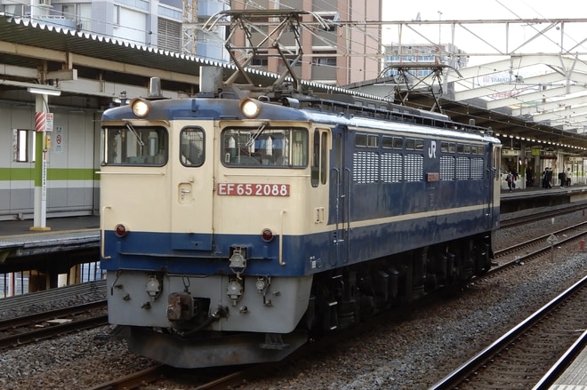 新鶴見機関区 ef65 2088 の写真 |鉄道写真投稿サイトTrain-Directory