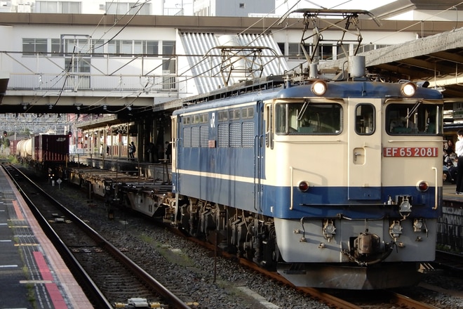 新鶴見機関区 ef65 2081 の写真 |鉄道写真投稿サイトTrain-Directory