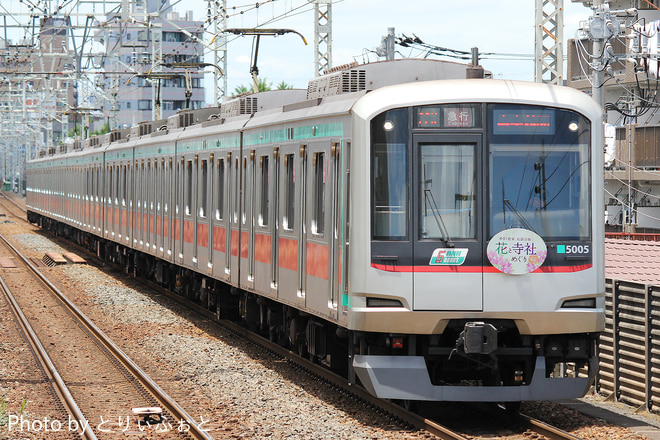 5000系 5105F の写真 |鉄道写真投稿サイトTrain-Directory