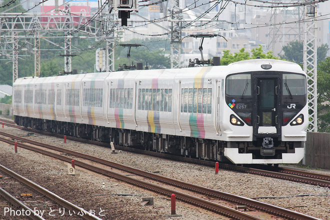 松本車両センター E257系 モトM-115編成 の写真 |鉄道写真投稿サイトTrain-Directory