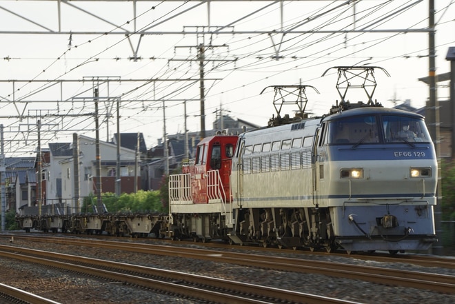 吹田機関区 EF66 129 の写真 |鉄道写真投稿サイトTrain-Directory