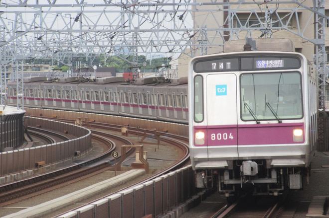 鷺沼検車区 8000系 8104F の写真 |鉄道写真投稿サイトTrain-Directory