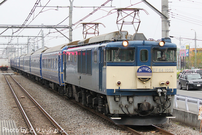 EF64 1052 の写真 |鉄道写真投稿サイトTrain-Directory