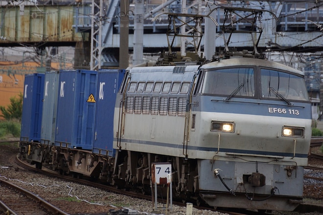 吹田機関区 EF66 113 の写真 |鉄道写真投稿サイトTrain-Directory
