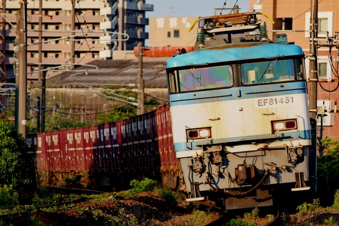 門司機関区 EF81 451 の写真 |鉄道写真投稿サイトTrain-Directory