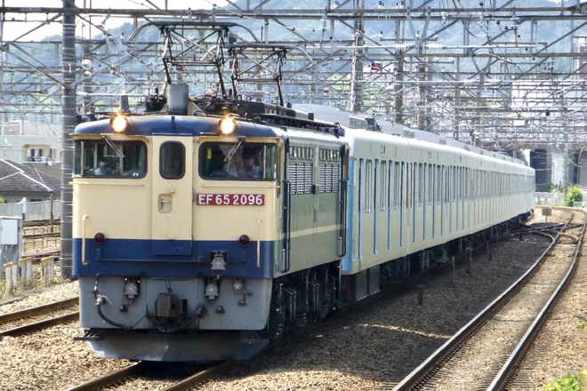 新鶴見機関区 EF65 2096 の写真 |鉄道写真投稿サイトTrain-Directory