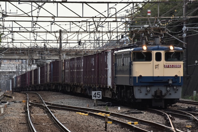 新鶴見機関区 EF65 2090 の写真 |鉄道写真投稿サイトTrain-Directory