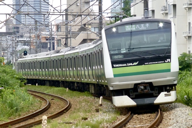 鎌倉車両センター本所 E233系 クラH024編成 の写真 |鉄道写真投稿サイトTrain-Directory