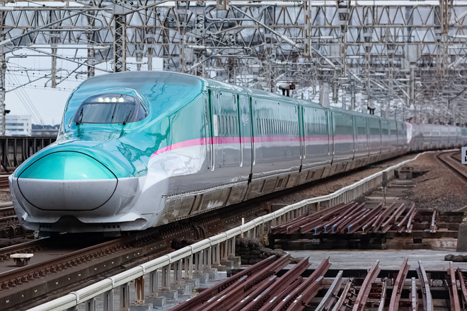 E5系 U12編成 の写真 |鉄道写真投稿サイトTrain-Directory