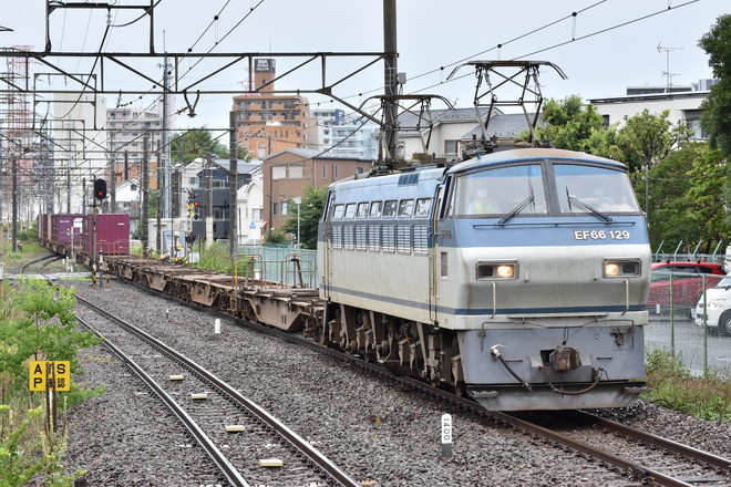 吹田機関区 EF66 129 の写真 |鉄道写真投稿サイトTrain-Directory
