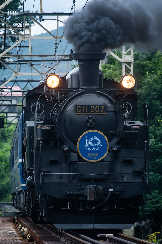下今市機関区 C11 207 の写真 |鉄道写真投稿サイトTrain-Directory