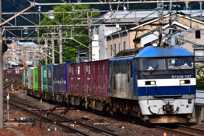 富山機関区 EF210 137 の写真 |鉄道写真投稿サイトTrain-Directory