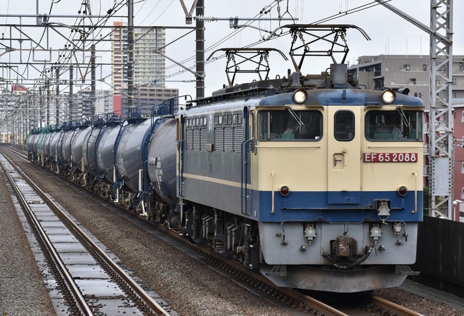新鶴見機関区 EF65 2088 の写真 |鉄道写真投稿サイトTrain-Directory