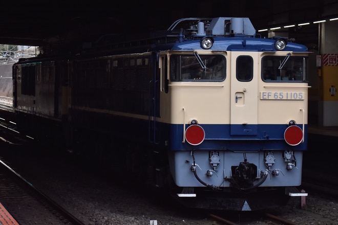 尾久車両センター EF65 1105 の写真 |鉄道写真投稿サイトTrain-Directory