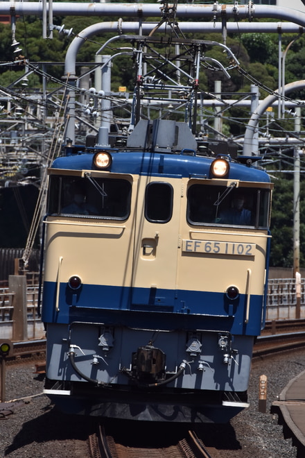 尾久車両センター EF65 EF65-1102 の写真 |鉄道写真投稿サイトTrain-Directory