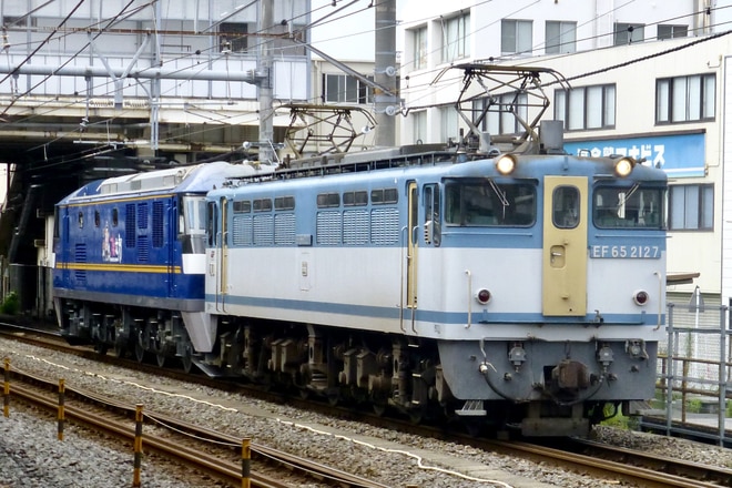 新鶴見機関区 EF65 2127 の写真 |鉄道写真投稿サイトTrain-Directory