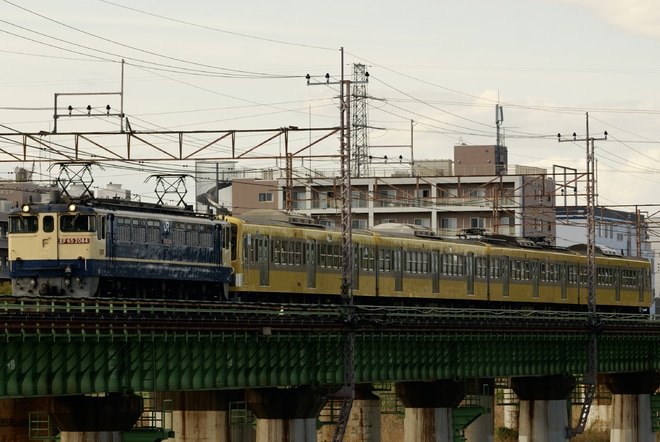 新鶴見機関区 EF65 2084 の写真 |鉄道写真投稿サイトTrain-Directory