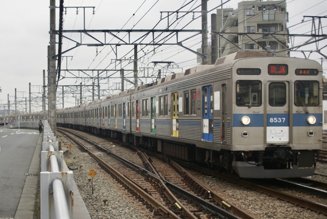 長津田検車区 8500系 8537f の写真 |鉄道写真投稿サイトTrain-Directory