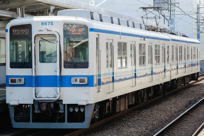 8000系 8575F の写真 |鉄道写真投稿サイトTrain-Directory