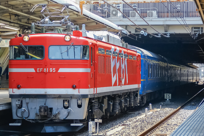 EF81 95 の写真 |鉄道写真投稿サイトTrain-Directory