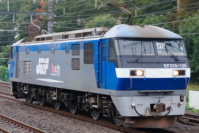 EF210 125 の写真 |鉄道写真投稿サイトTrain-Directory