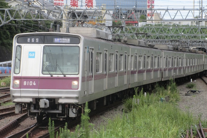 鷺沼検車区 8000系 8104F の写真 |鉄道写真投稿サイトTrain-Directory