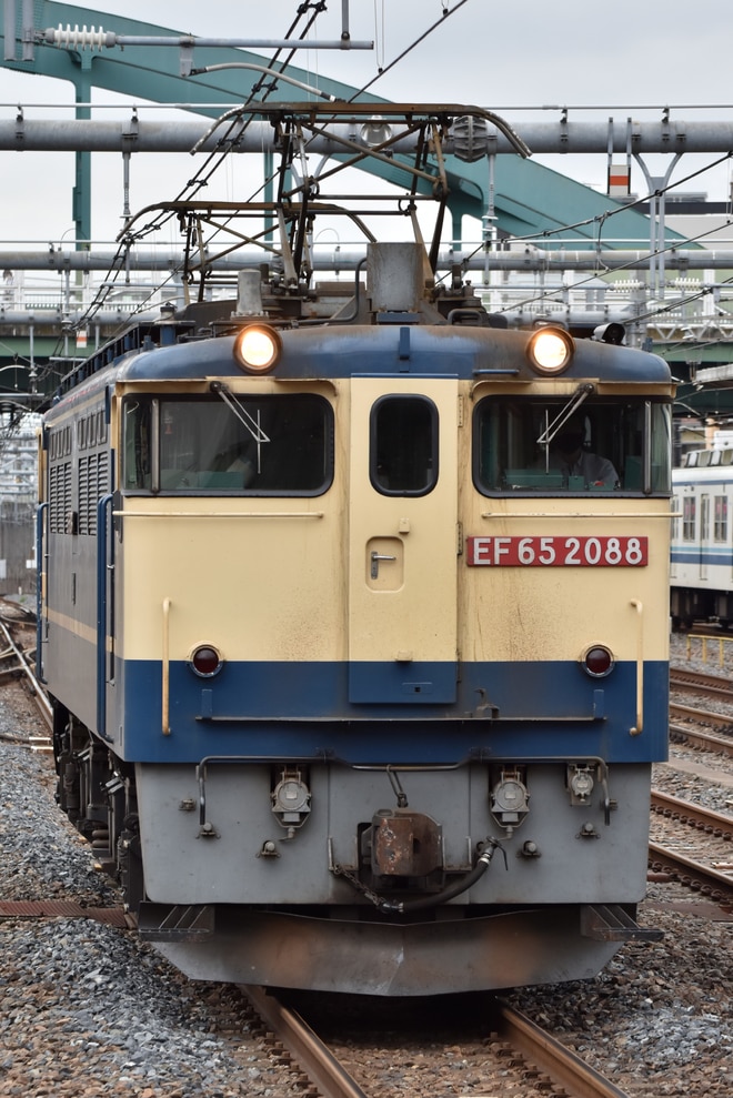 新鶴見機関区 EF65 2088 の写真 |鉄道写真投稿サイトTrain-Directory