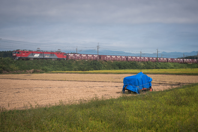 仙台総合鉄道部 EH500 40 の写真 |鉄道写真投稿サイトTrain-Directory