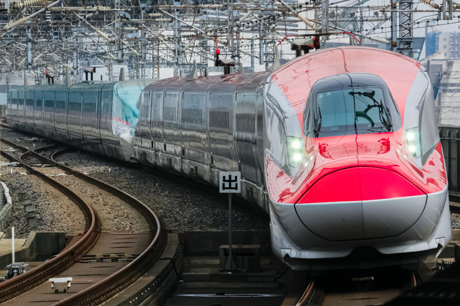 E6系 Z2編成 の写真 |鉄道写真投稿サイトTrain-Directory