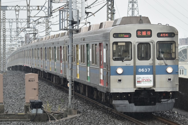 8500系 8637F の写真 |鉄道写真投稿サイトTrain-Directory