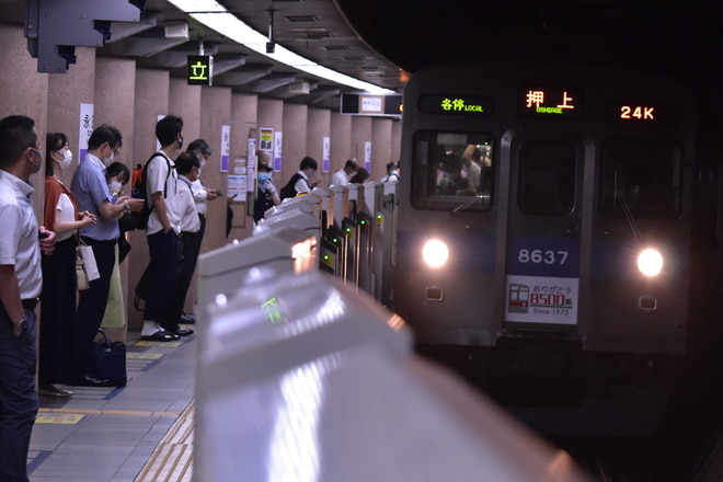 8500系 8637F の写真 |鉄道写真投稿サイトTrain-Directory