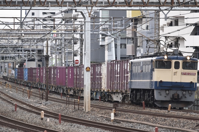 新鶴見機関区 EF65 2086 の写真 |鉄道写真投稿サイトTrain-Directory