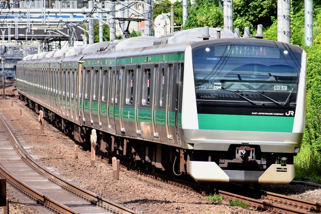川越車両センター E233系 ハエ123編成 の写真 |鉄道写真投稿サイトTrain-Directory