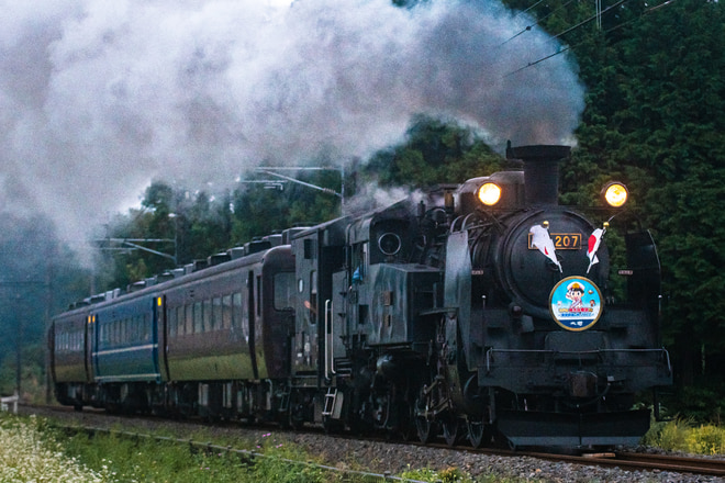 下今市機関区 C11 207 の写真 |鉄道写真投稿サイトTrain-Directory