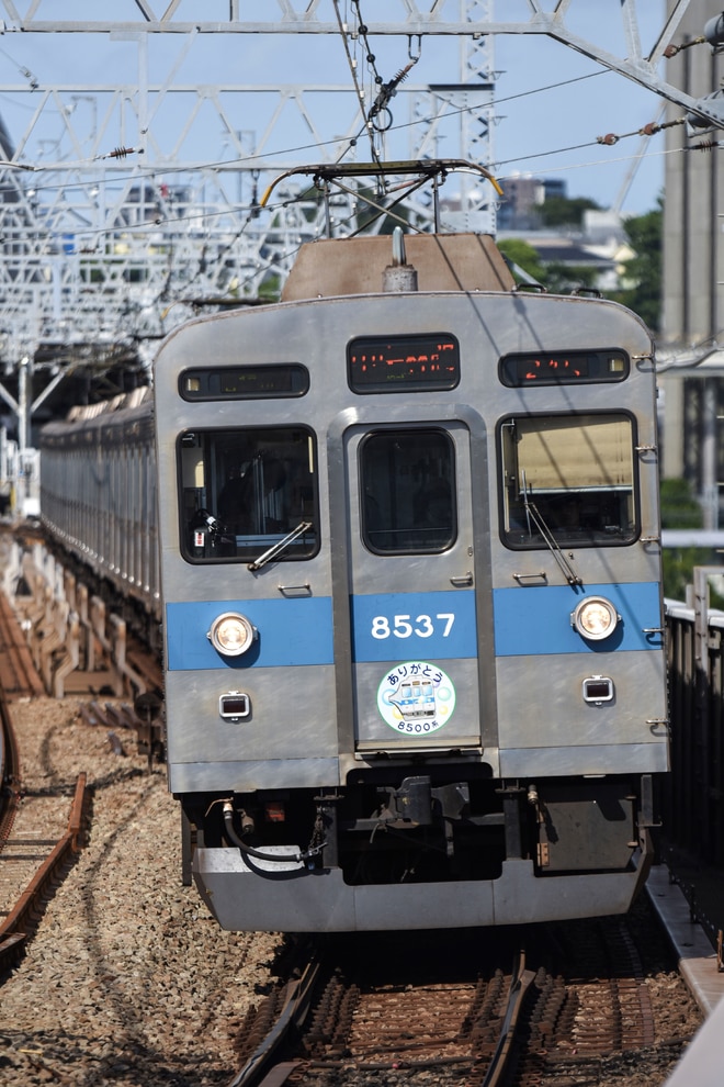 8500系 8637f の写真 |鉄道写真投稿サイトTrain-Directory