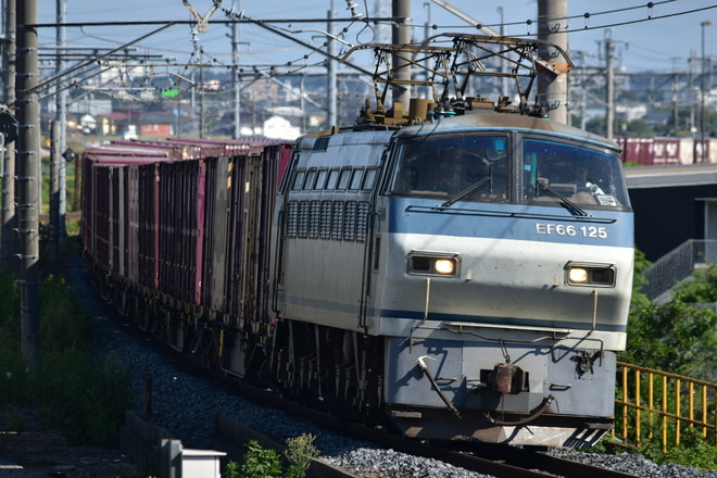 吹田機関区 EF66 125 の写真 |鉄道写真投稿サイトTrain-Directory