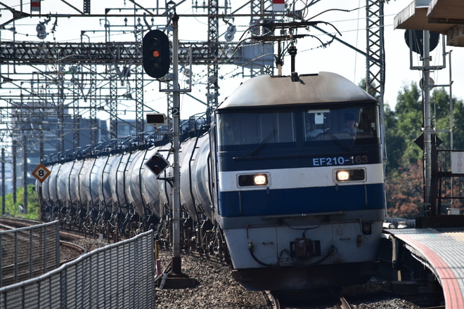 EF210 163 の写真 |鉄道写真投稿サイトTrain-Directory