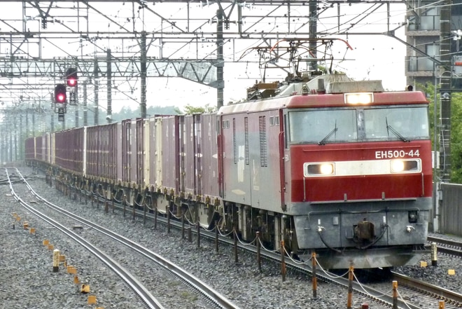 仙台総合鉄道部 EH500 44 の写真 |鉄道写真投稿サイトTrain-Directory