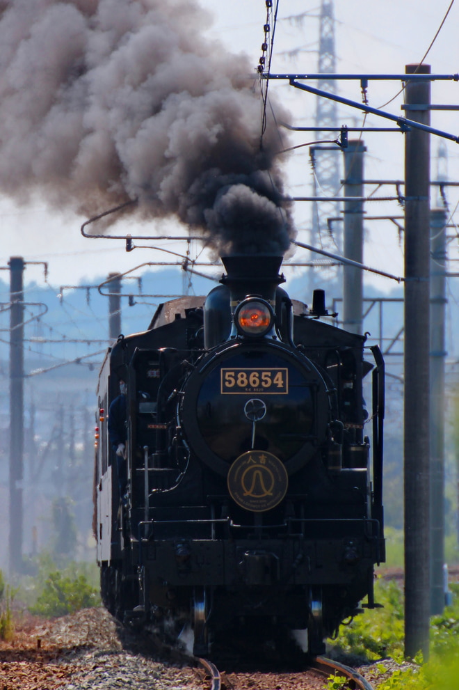 熊本車両センター 8620形 の写真 |鉄道写真投稿サイトTrain-Directory
