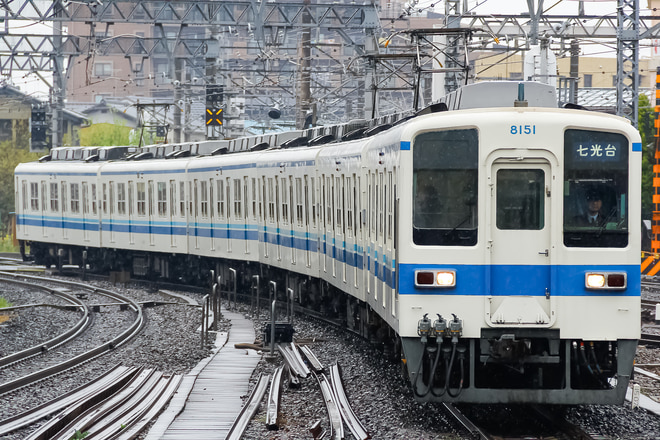 8000系 8151F の写真 |鉄道写真投稿サイトTrain-Directory