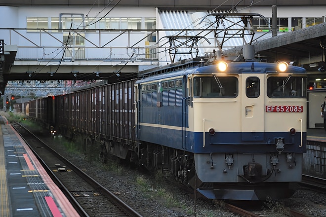 新鶴見機関区 ef65 2085 の写真 |鉄道写真投稿サイトTrain-Directory