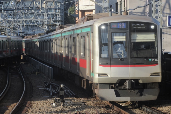 長津田検車区 5000系 5116F の写真 |鉄道写真投稿サイトTrain-Directory