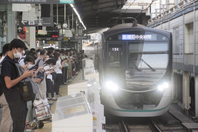 長津田検車区 2020系 2131F の写真 |鉄道写真投稿サイトTrain-Directory