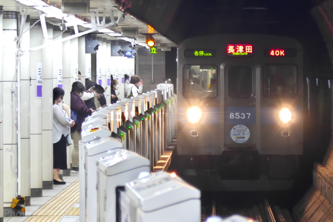 長津田検車区 8500系 8537F の写真 |鉄道写真投稿サイトTrain-Directory