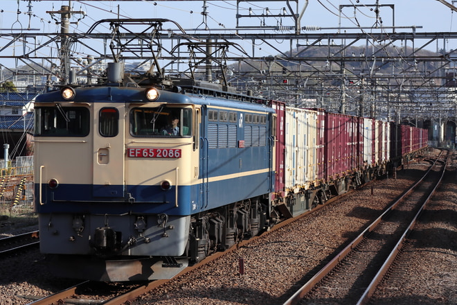 新鶴見機関区 EF65 2086 の写真 |鉄道写真投稿サイトTrain-Directory